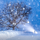 Younghee Kim Wins Grand Prize for ‘Snowfall Scenery,’ Results of the ...